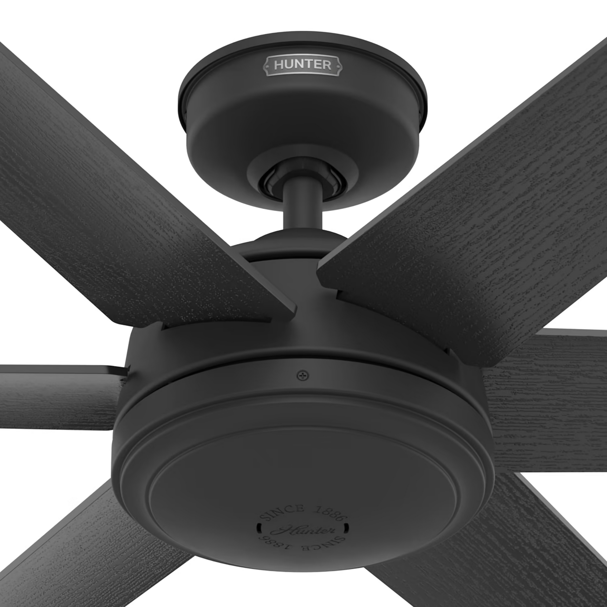Hunter 52-inch Jetty Outdoor Ceiling Fan — Rise
