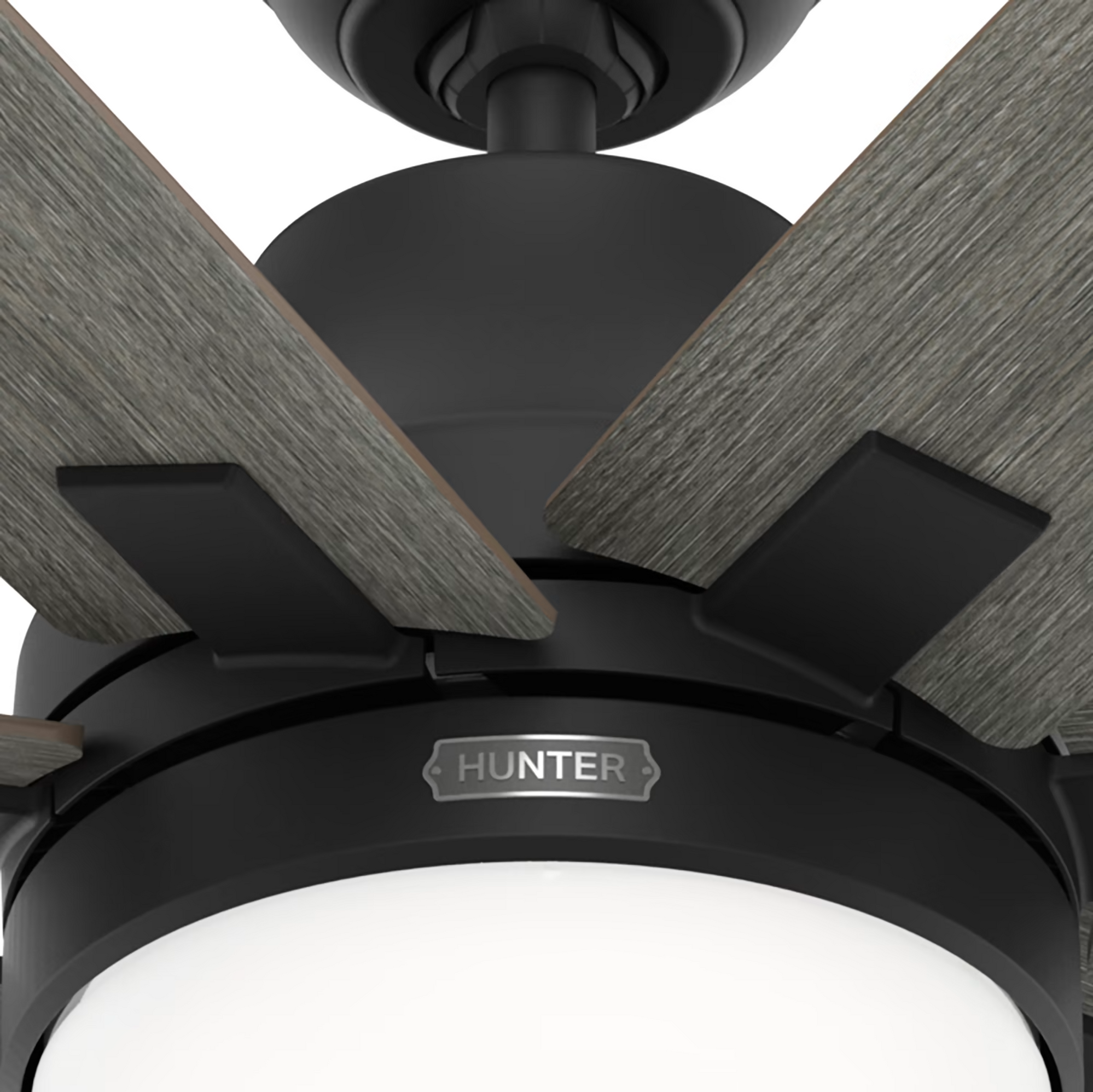 Hunter 60-Inch Wilder Ceiling Fan with LED Light — Rise