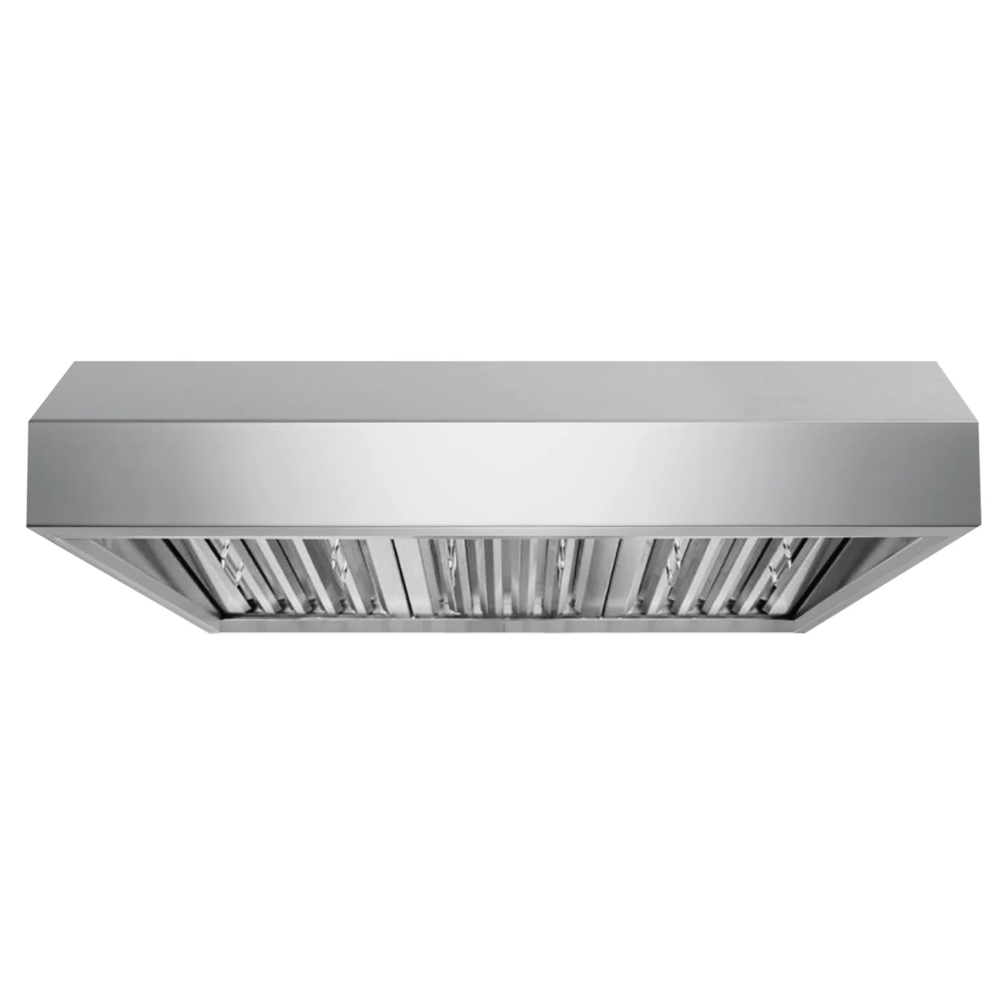 Victory Range Hoods 42" Cyclone Outdoor Range Hood for BBQ — Rise