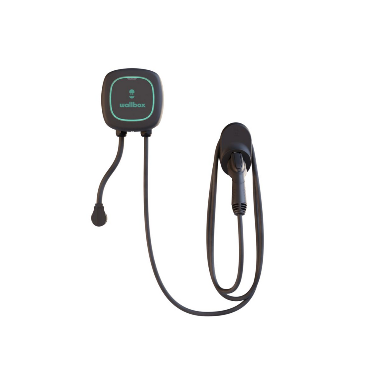 Wallbox Pulsar Plus 40A Electric Vehicle Charger — Rise